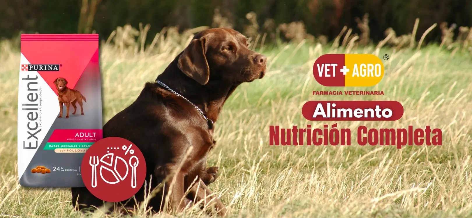 Purina Excellent Adultos – Razas Medianas y Grandes: Beneficios ...